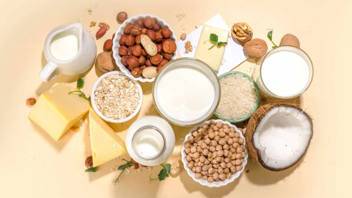 Unlock Expert Flavor Tips for Plant-Based Products | Edlong